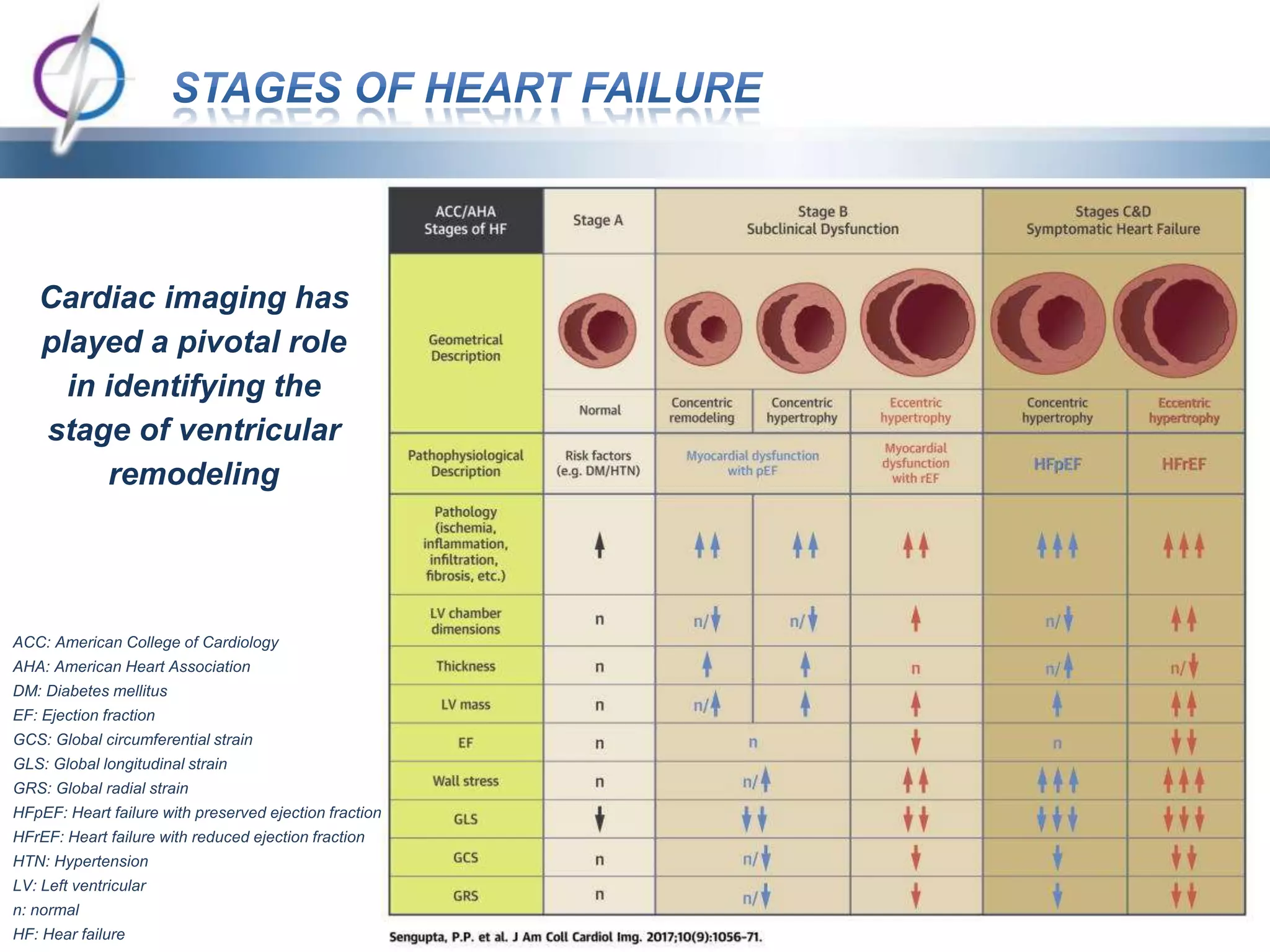 Nonclinical Models of Heart Failure - Cardiomyopathy and Pressure ...