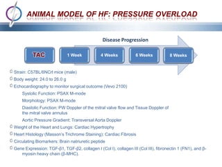 Nonclinical Models of Heart Failure - Cardiomyopathy and Pressure ...