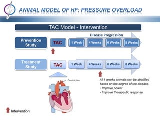 Nonclinical Models of Heart Failure - Cardiomyopathy and Pressure ...