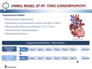 Nonclinical Models of Heart Failure - Cardiomyopathy and Pressure ...