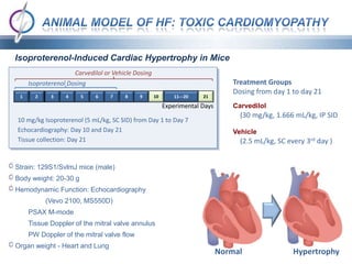 Nonclinical Models of Heart Failure - Cardiomyopathy and Pressure ...