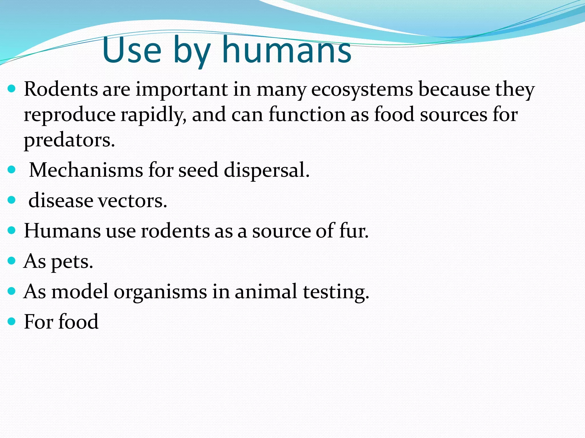 Rodents.ppt