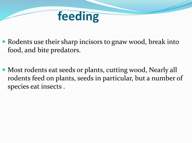 Rodents.ppt | Biological Sciences | Science