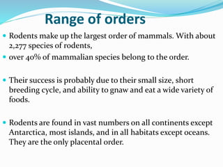 Rodents.ppt