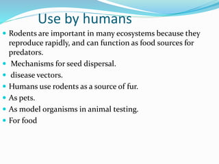 Rodents.ppt