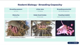 Rodents-and-their-Management-in-Godowns.pdf