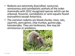 Rodents - A Notorious pest & its Control.pptx