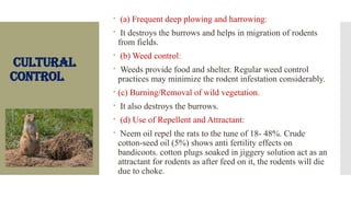 RODENTS AND CONTROL.pptx its about rodent control | PPTX