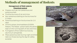 Rodents , their Characteristics, Types and Control Measures | PPTX
