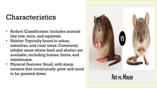 Rodents and vector.pptx..............,... | PPTX