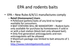 Rodents and you | PPTX