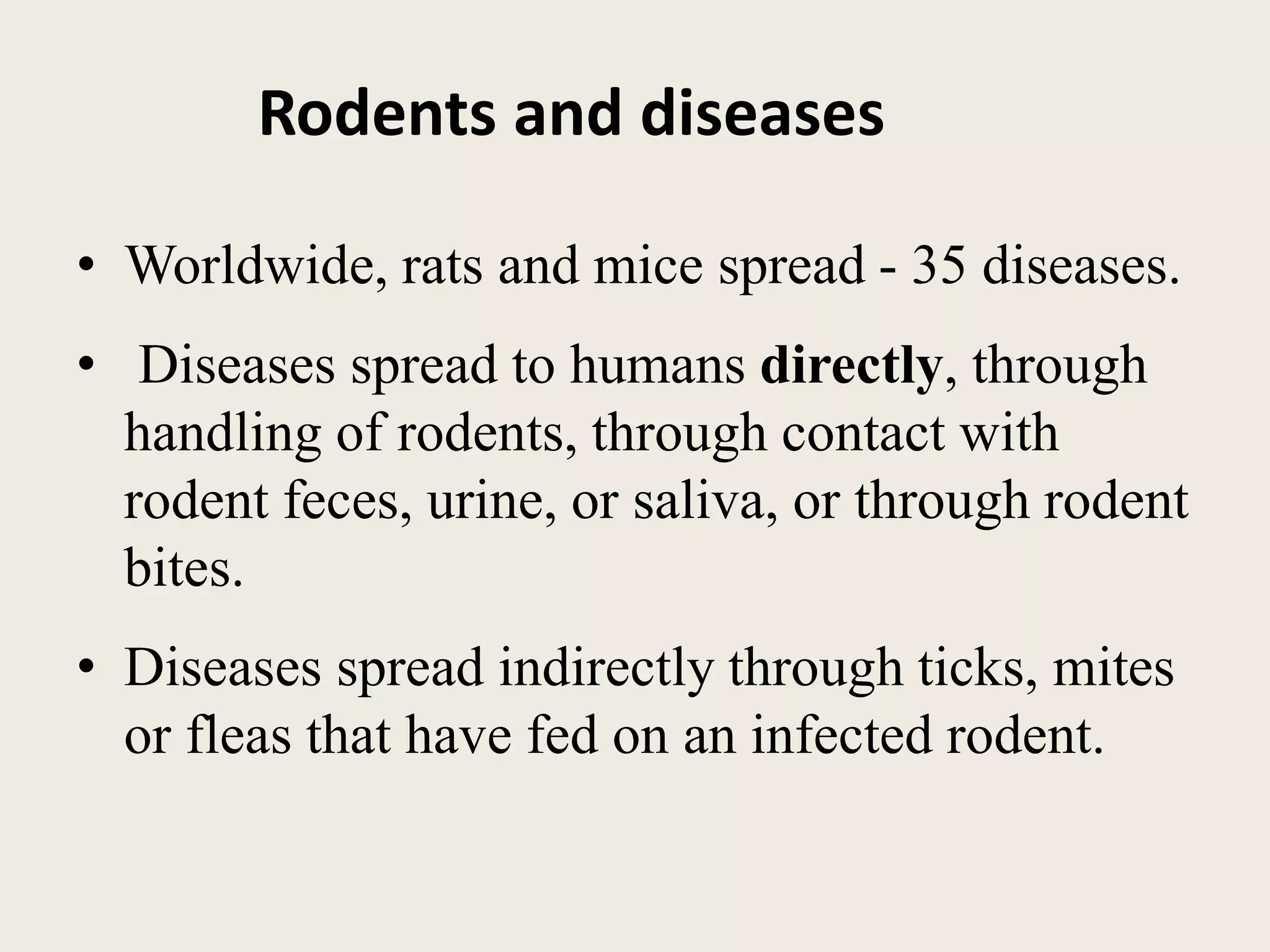 Rodents & disease.pptx
