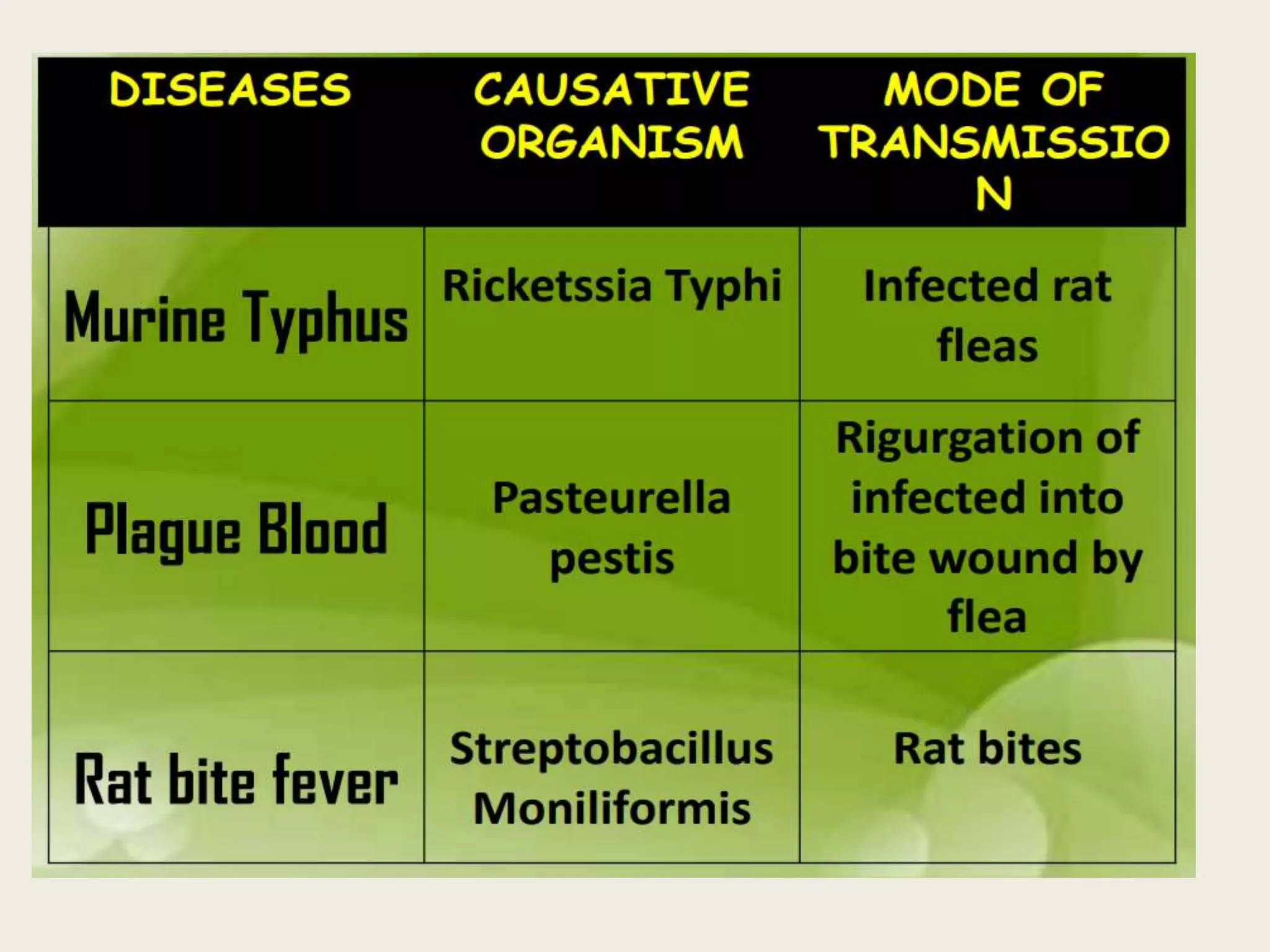 Rodents & disease.pptx