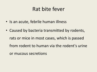 Rodents & disease.pptx