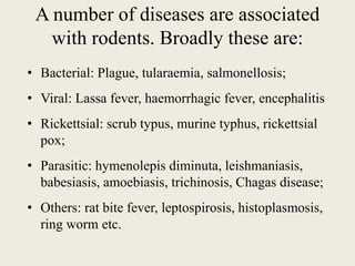 Rodents & disease.pptx