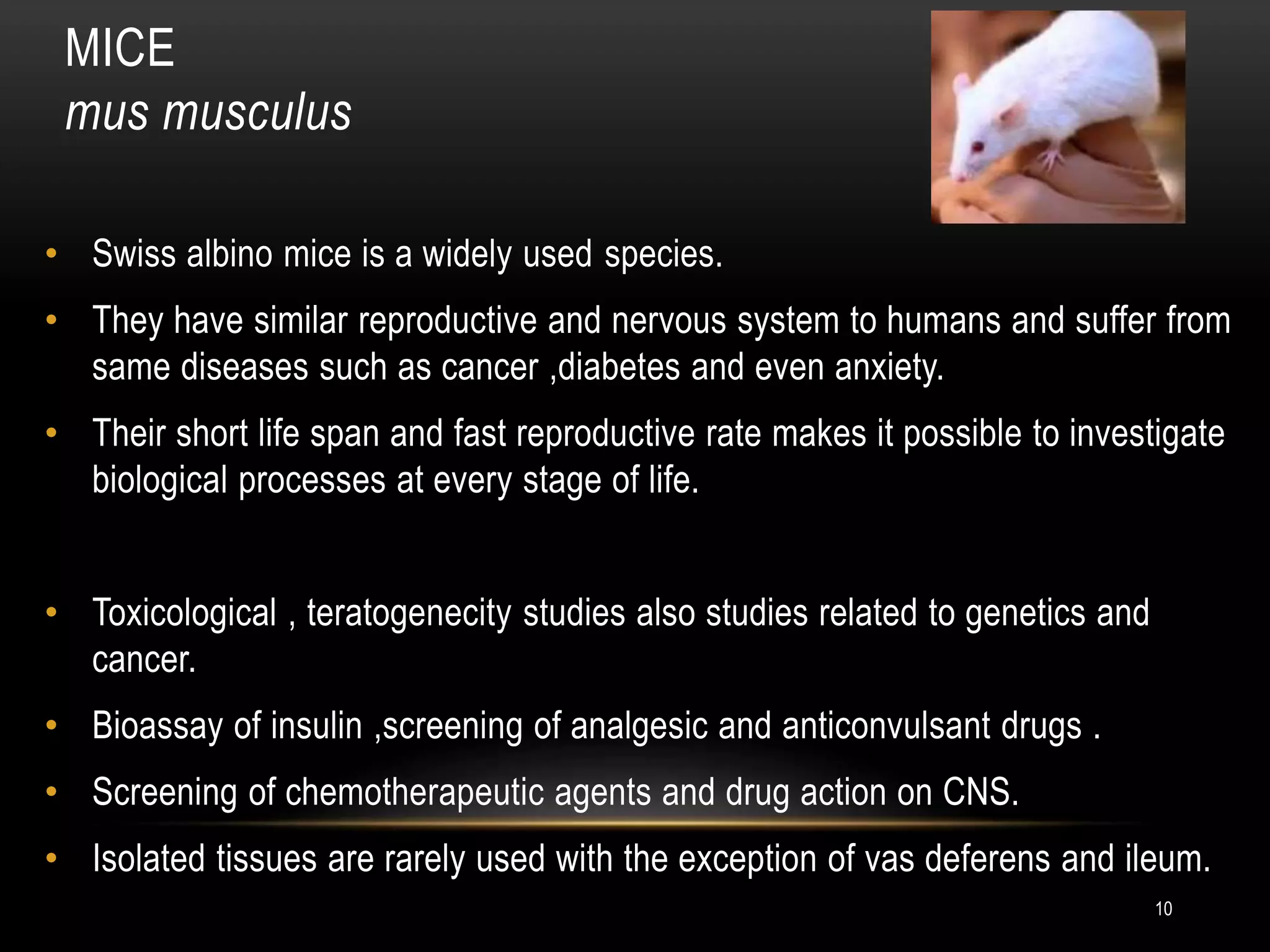 Rodents used in Drug Research | PPTX