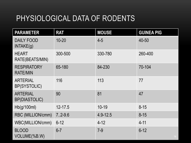 Rodents used in Drug Research | PPTX | Biological Sciences | Science