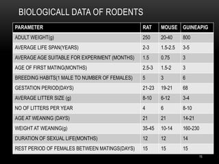 Rodents used in Drug Research | PPTX