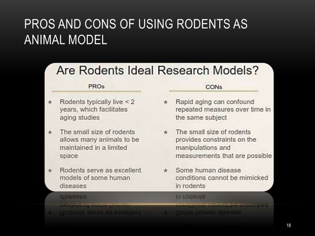 Rodents used in Drug Research | PPTX | Biological Sciences | Science