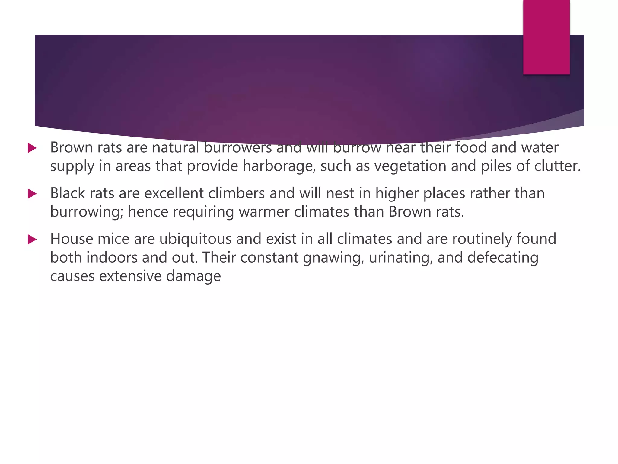 Rodents biology and classification | PPTX