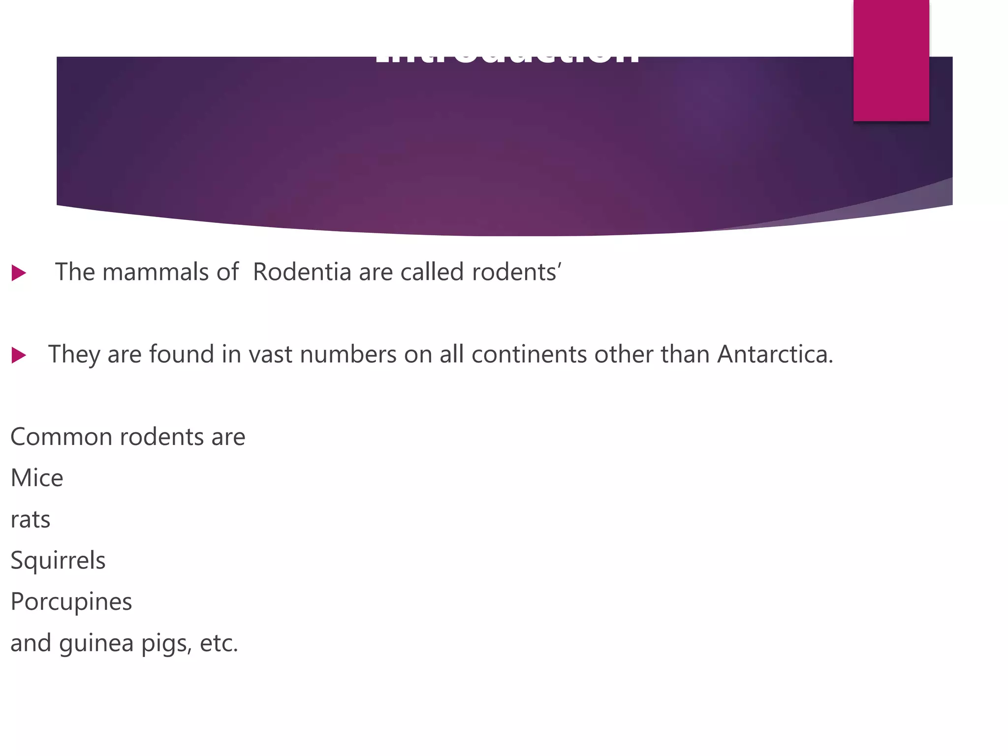 Rodents biology and classification | PPTX