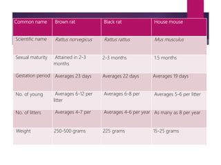 Rodents biology and classification | PPTX