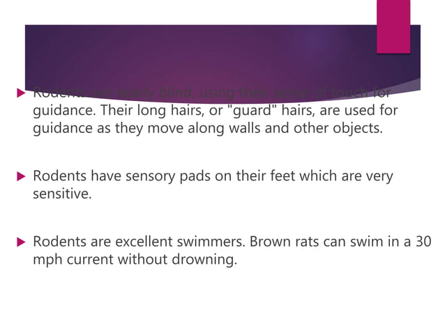Rodents biology and classification | PPTX | Biological Sciences | Science