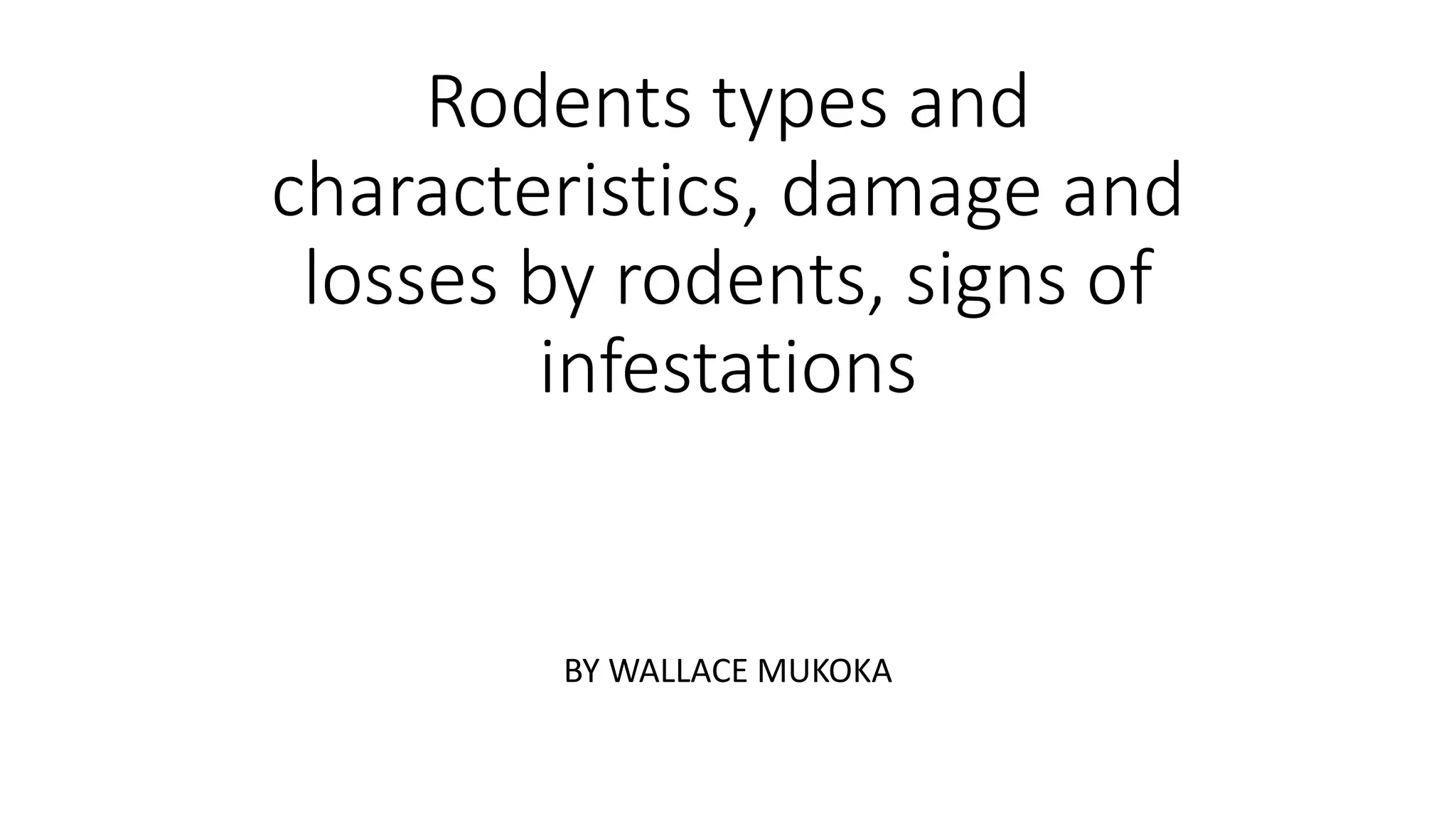 Rodents types and characteristics, damage and losses by rodents, signs ...