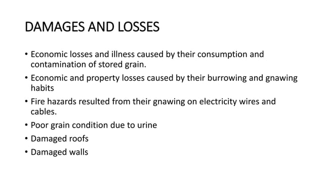 Rodents types and characteristics, damage and losses by rodents, signs ...