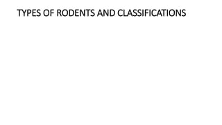 Rodents types and characteristics, damage and losses by rodents, signs ...