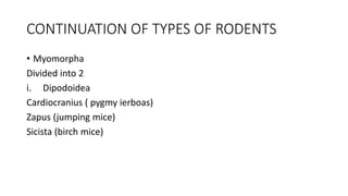 Rodents types and characteristics, damage and losses by rodents, signs ...
