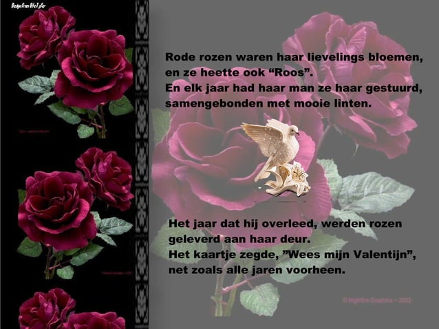 Rode Rozen | PPT