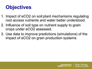 How will the impact of elevated carbon dioxide on grain production vary ...