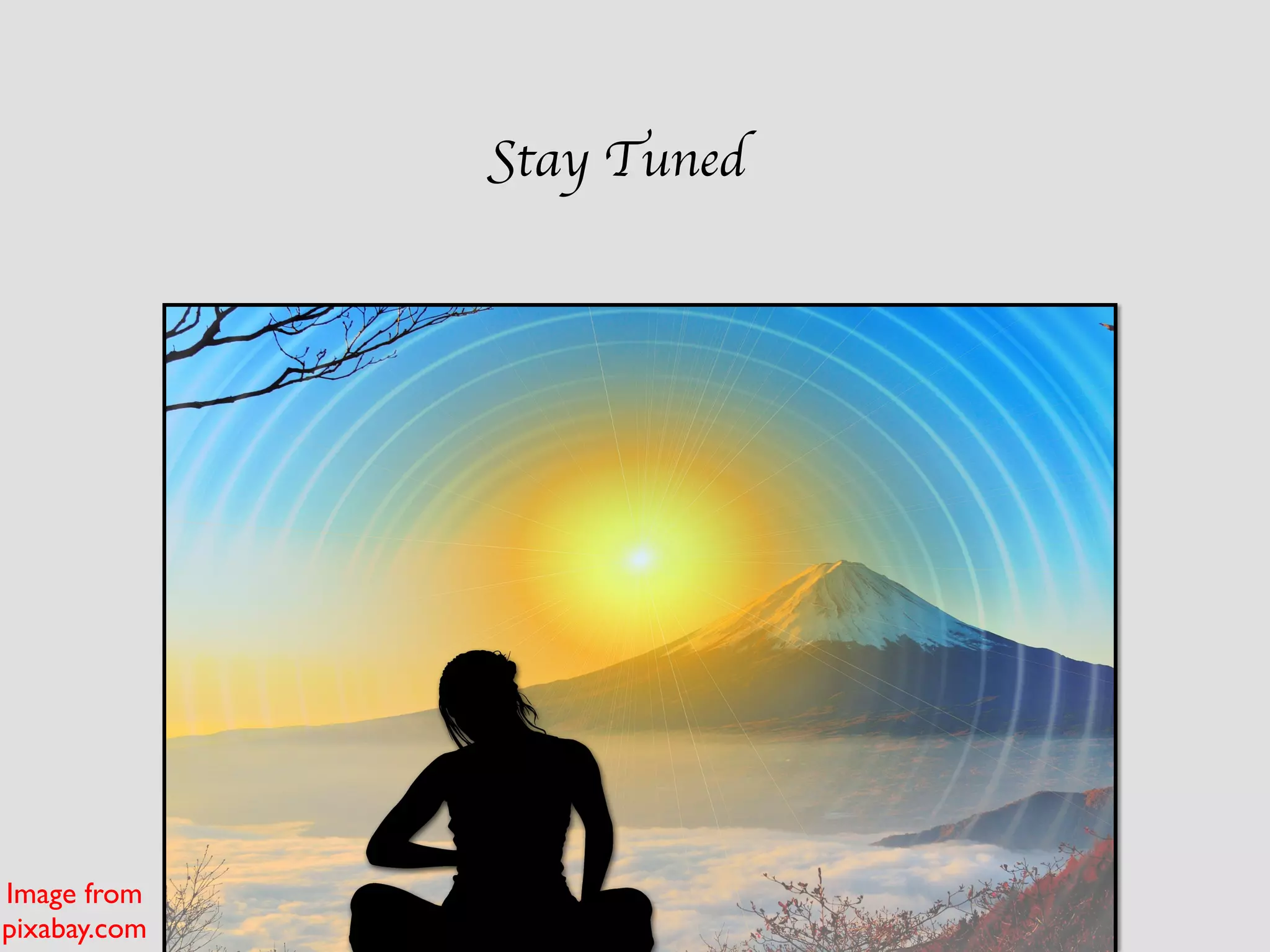 Professional Persona Project | PPT