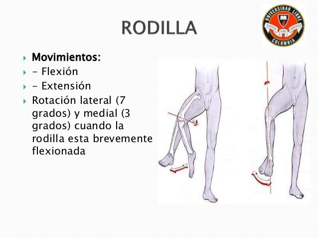 Rodilla