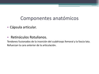 Rodilla articulación de rodilla (1) | PPTX