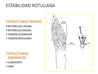 RODILLA - CCpodologia - Versión imprimir.pdf
