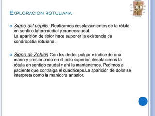 Rodilla en-atencion-primaria | PPT