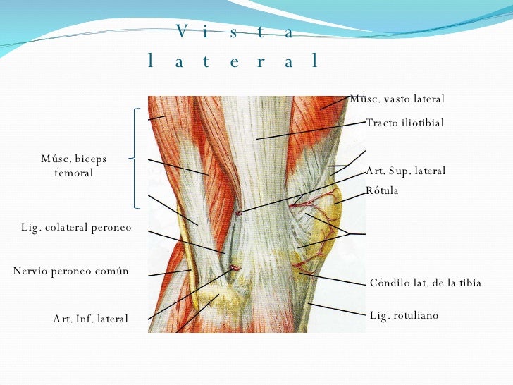 Irrigación de rodilla
