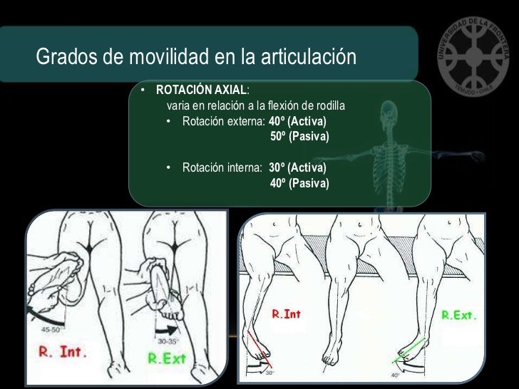 Analisis de movimiento Rodilla