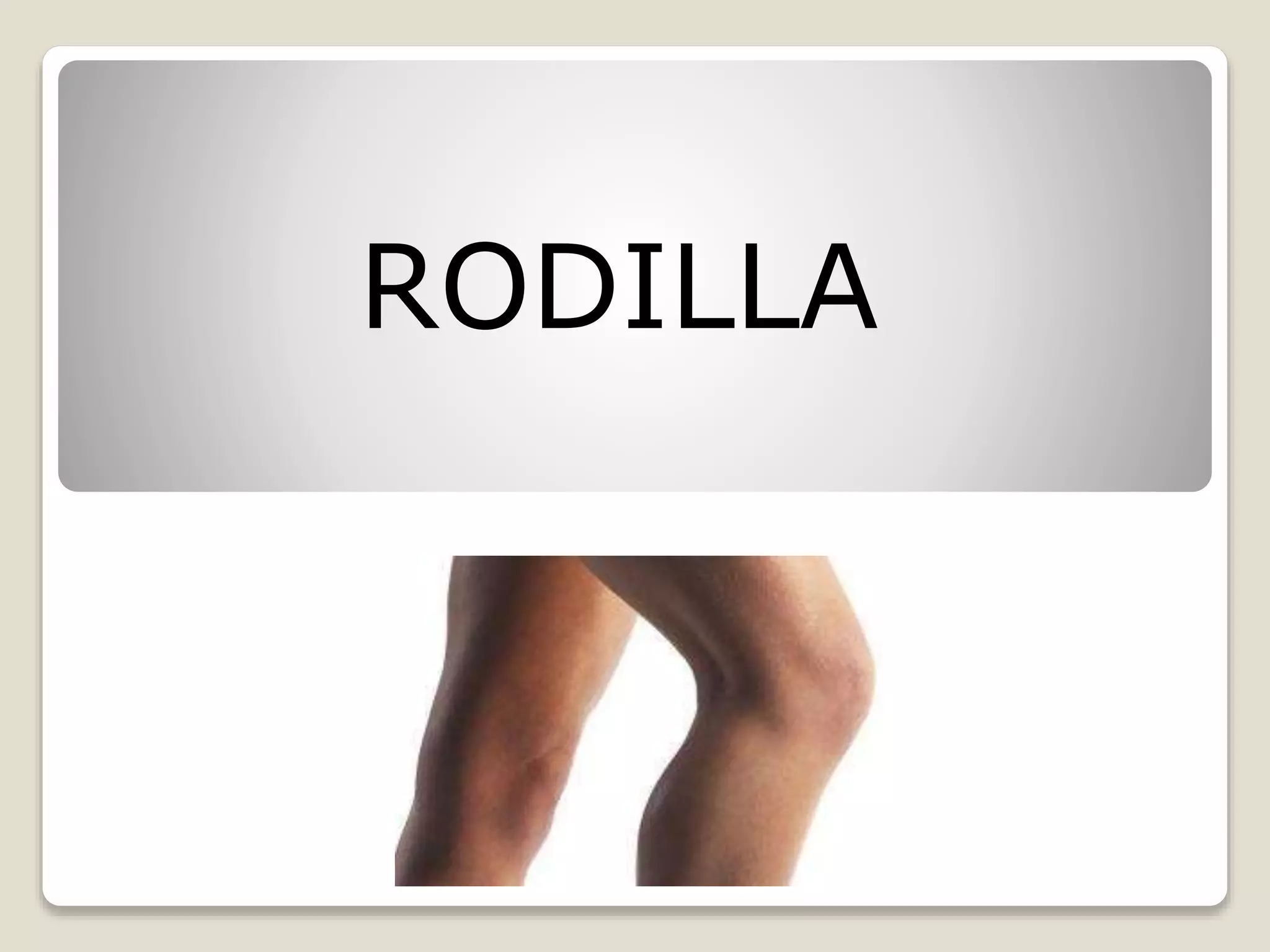 Rodilla | PPT