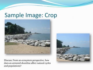 Rodkey digital content portfolio | PPT