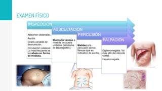 Hipertension Portal Pptx