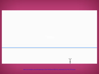 Rodrigo maia palestrante14h30 - catarse | PDF | Technology & Computing