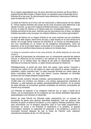 BOLSA DE FABRICIO | PDF