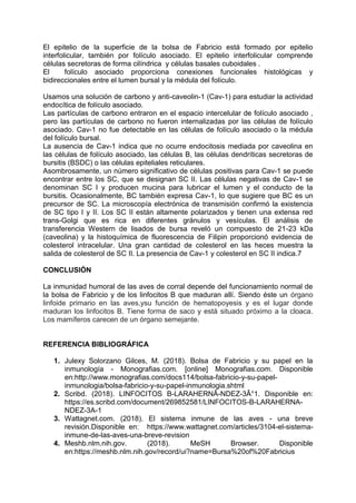 BOLSA DE FABRICIO | PDF