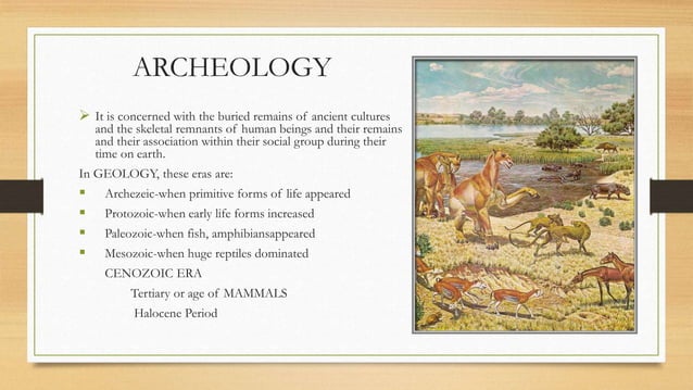 anthropological foundations of education | PPTX | Biological Sciences ...