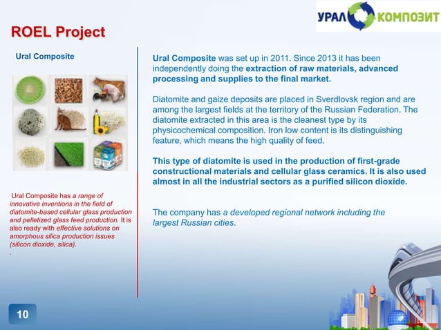 ROEL group of companies | PPT