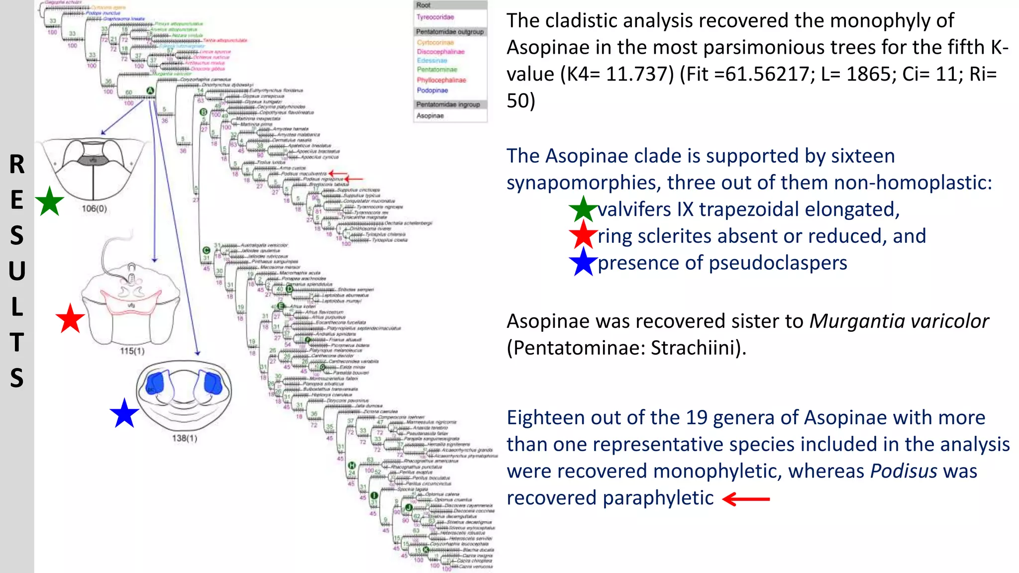 Roell & campos poster | PPT