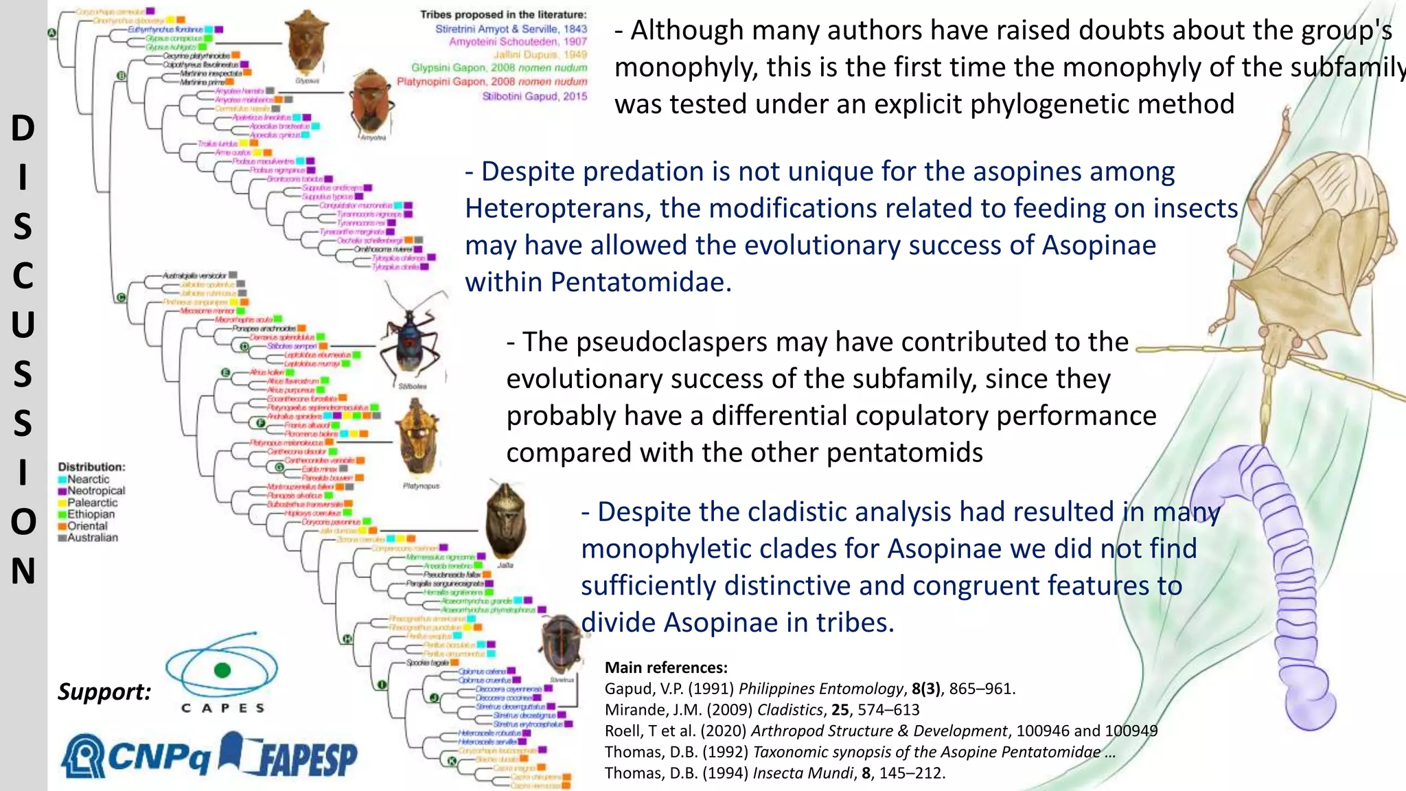 Roell & campos poster | PPT